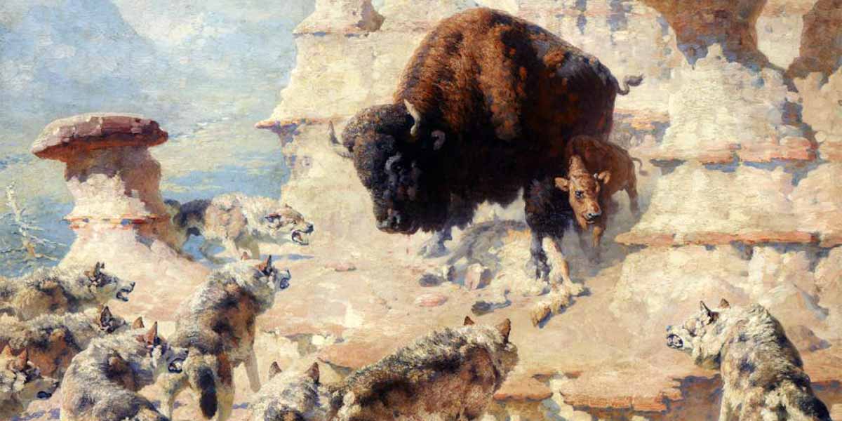 Fight of a Buffalo With Wolves by James McIntyre | DiscoverPoetry.com