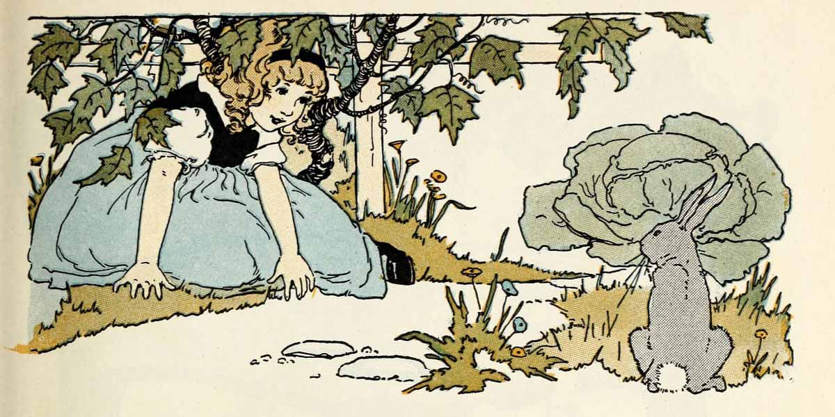 The Rabbit by Elizabeth Madox Roberts | DiscoverPoetry.com