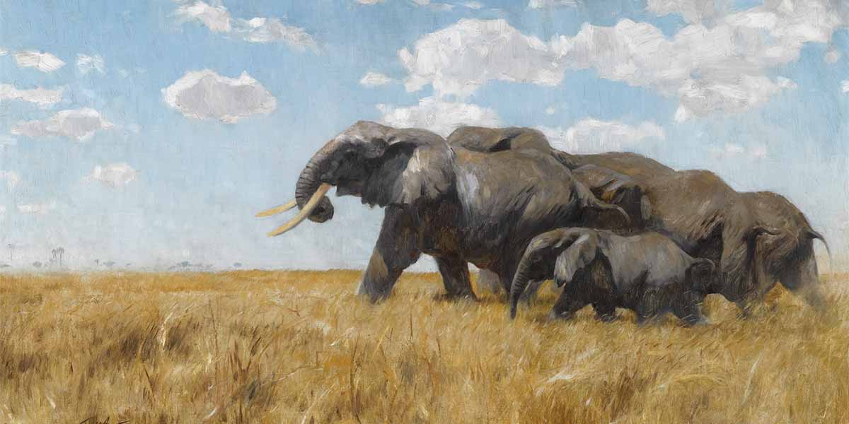 Elephant Poems | Discover Poetry