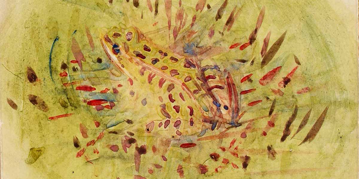 Frog Poems | Discover Poetry