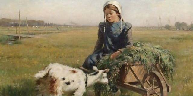 Goat Poems | Discover Poetry