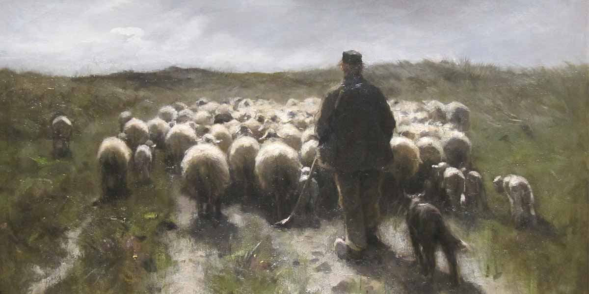 Poems About Patience | DiscoverPoetry.com